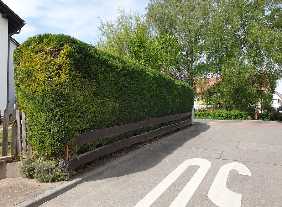 AY Hausmeisterservice Salem Bodenseekreis