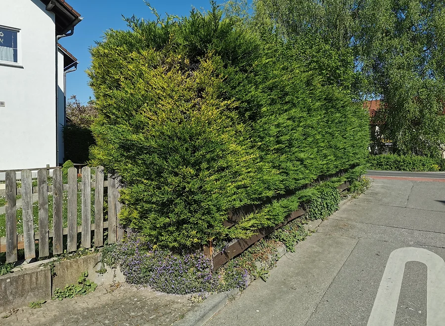 AY Hausmeisterservice Salem Bodenseekreis